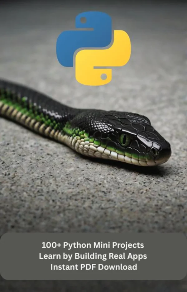 100 Python Mini Projects (PI)